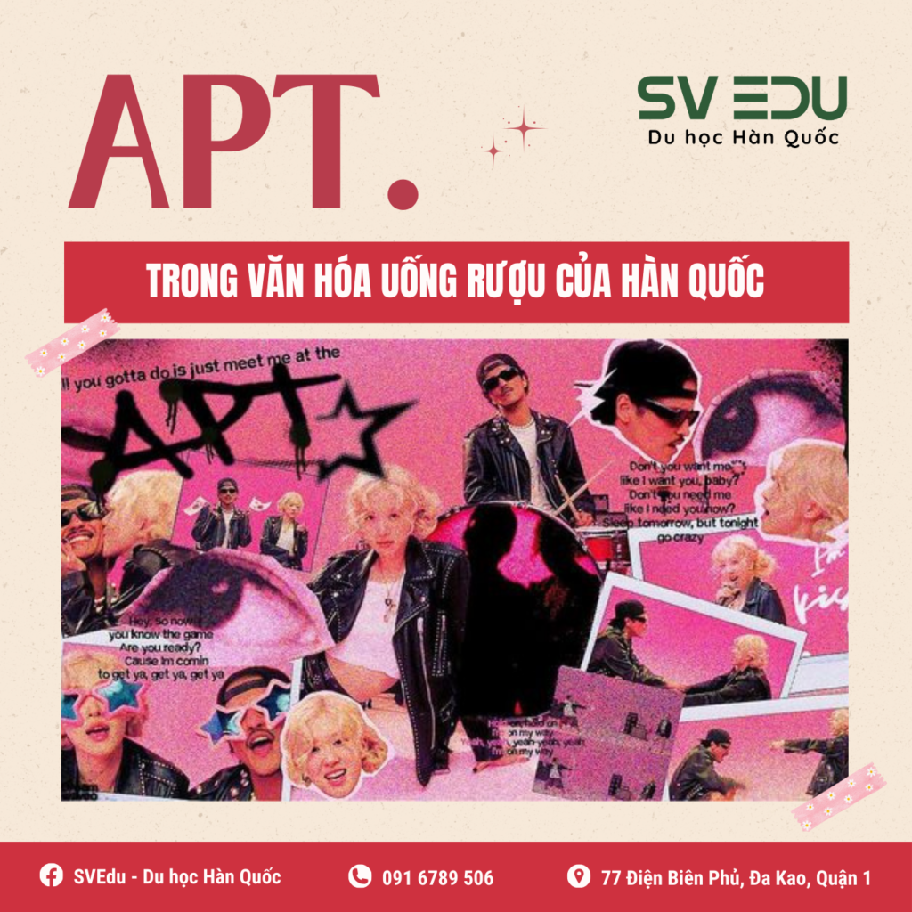 APT GAME - DRINKING GAME PHỔ BIẾN Ở HÀN QUỐC - SVEdu